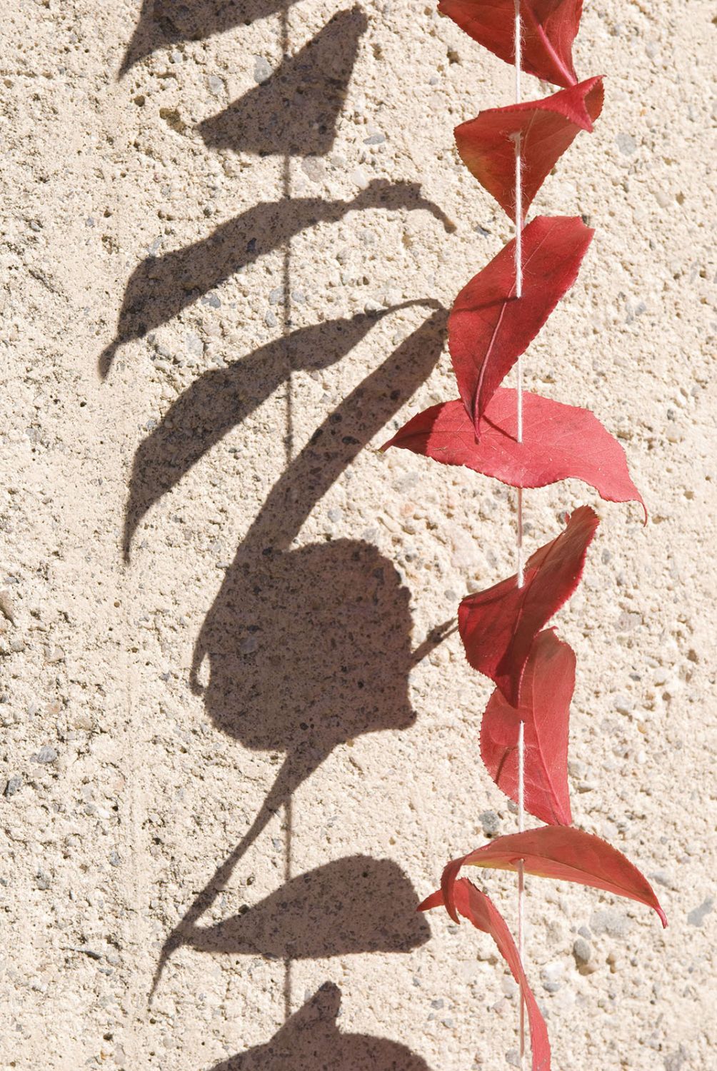 LIFE LINES OF CONNECTION AND CONTINUITY, IN COLLABORATION WITH GEORGE ...